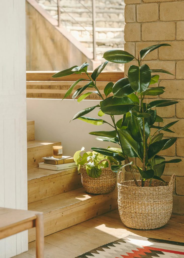 Mango Home nouvelle collection printemps 2022 a House by the Med