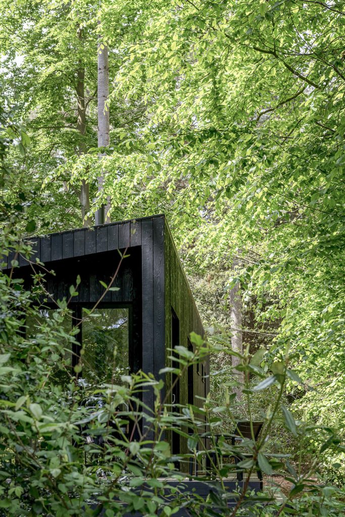 Une grande maison design en bois dans le Norfolk par Koto
