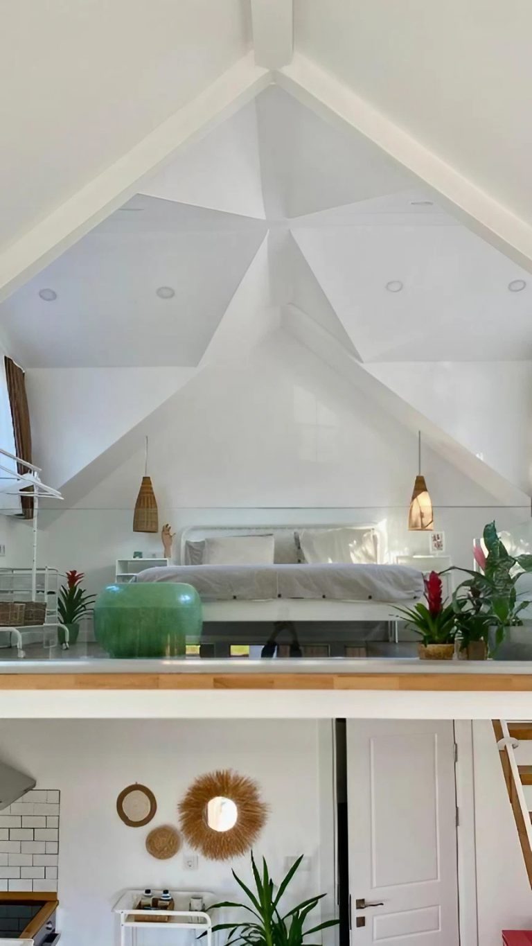 Une mini maison de 42m2 à l'architecture classique avec piscine