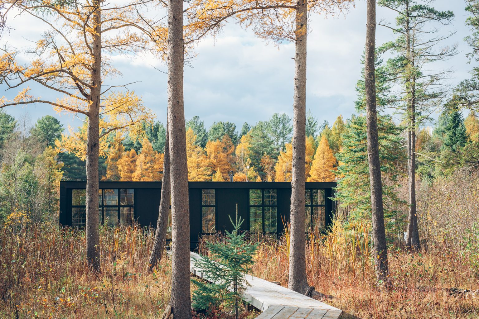 Une maison contemporaine aux lignes géométriques à l'intérieur lumineux